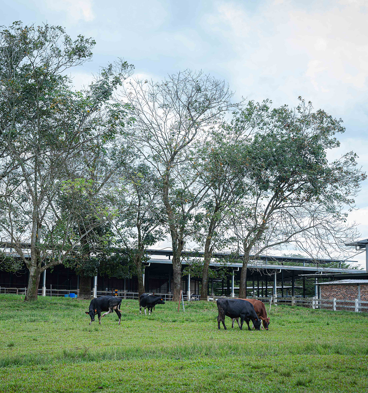 Exploring Dairy Excellence at Farm Fresh @ UPM | APU