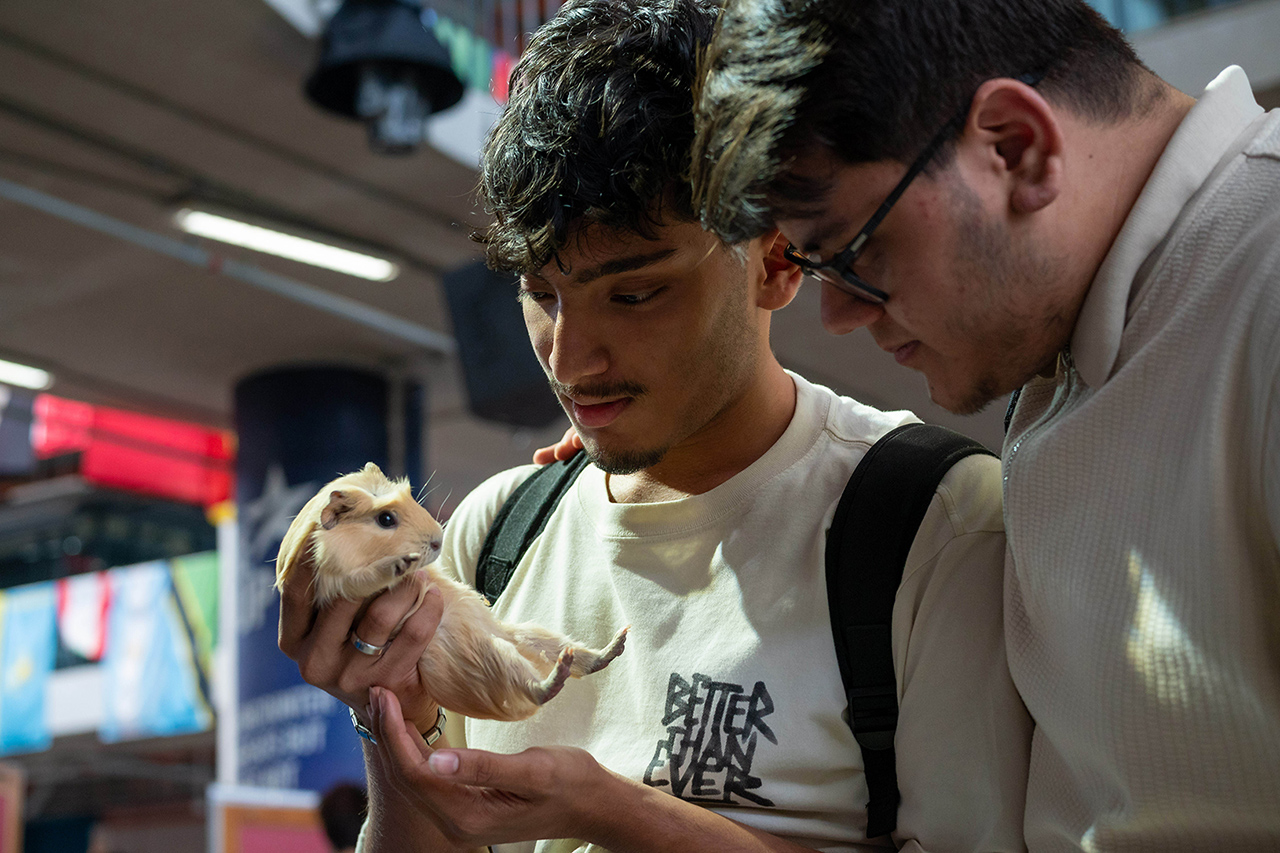 Paws and Plants Blooms with Purpose at APU’s World Environment Day ...
