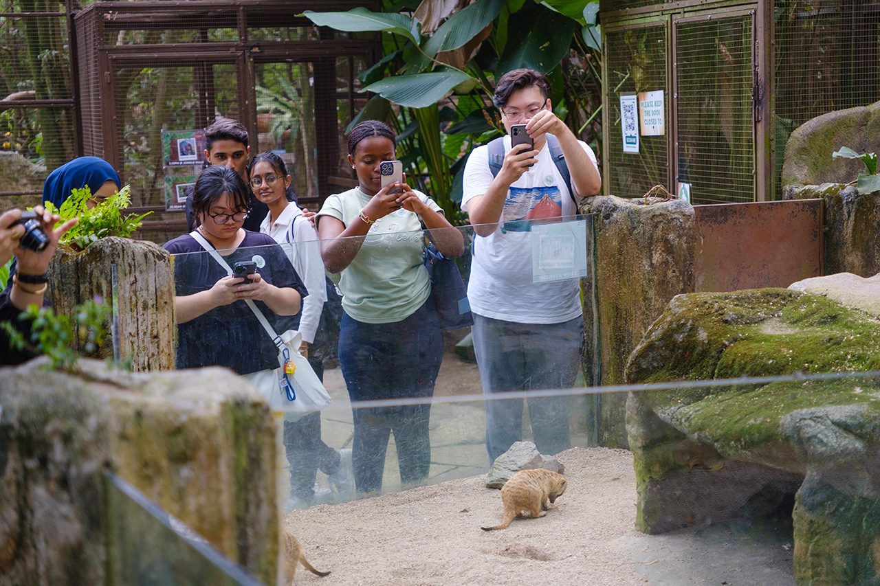 A Sustainable Learning Journey at Farm In The City | APU