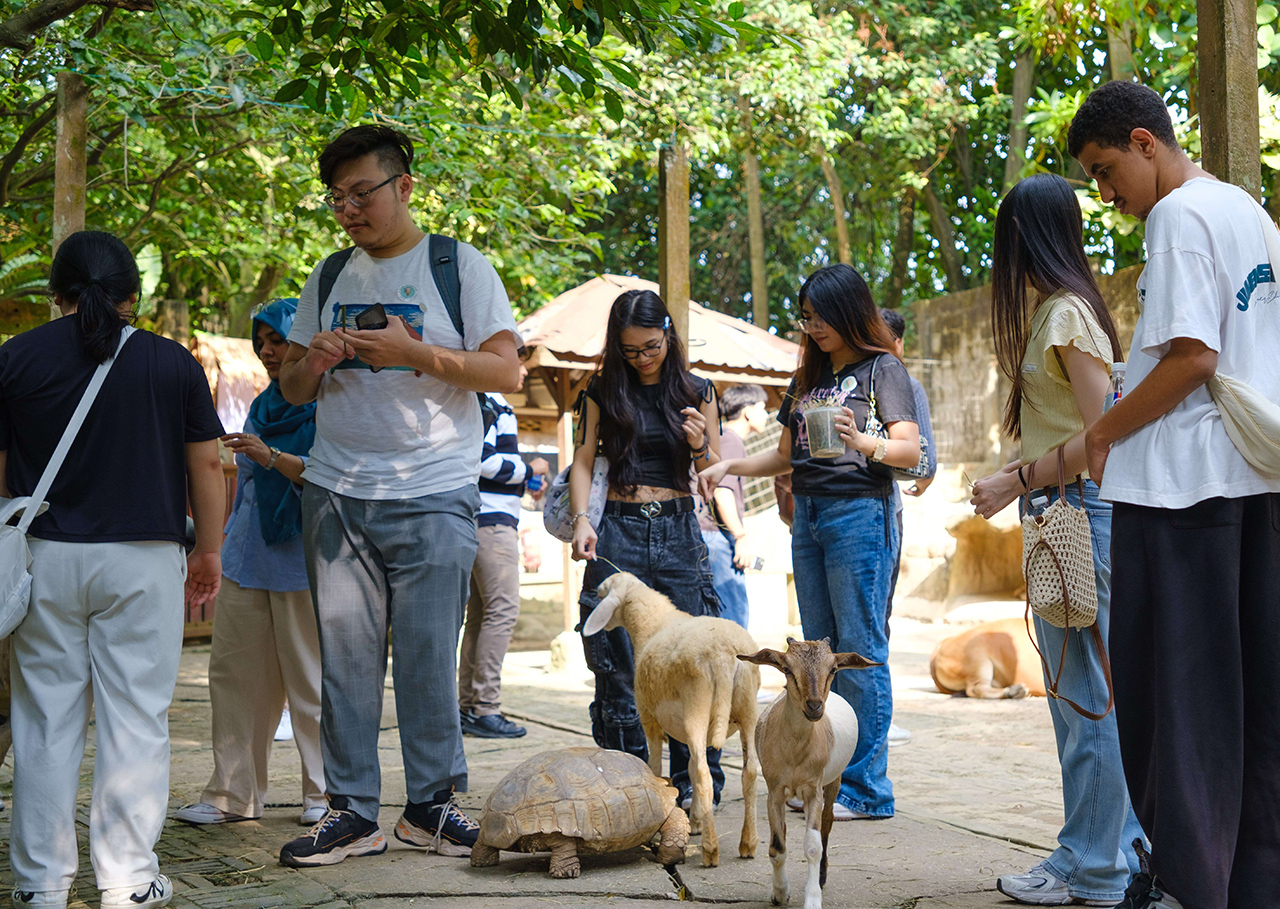 A Sustainable Learning Journey at Farm In The City | APU
